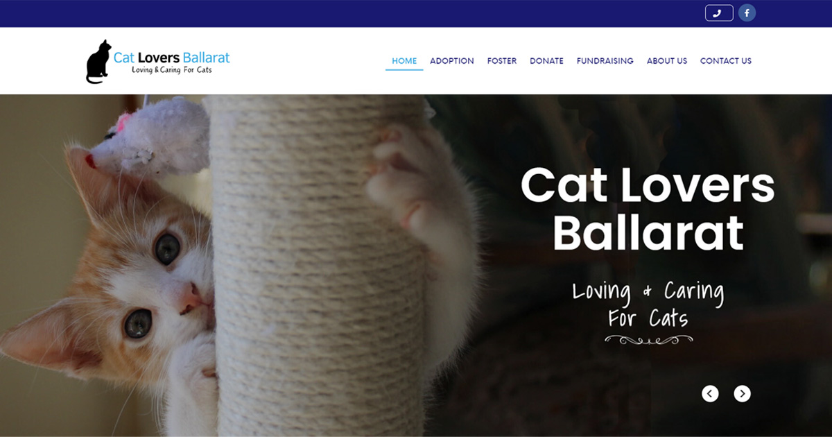 Not-for-Profit Cat rescue: Cat Lovers Ballarat